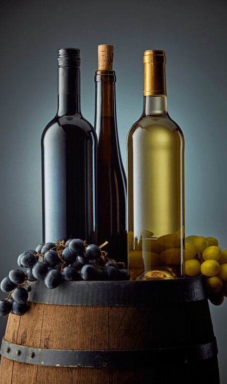 Arquivo de Perfumes - Premier Pack, In House e DG Decor