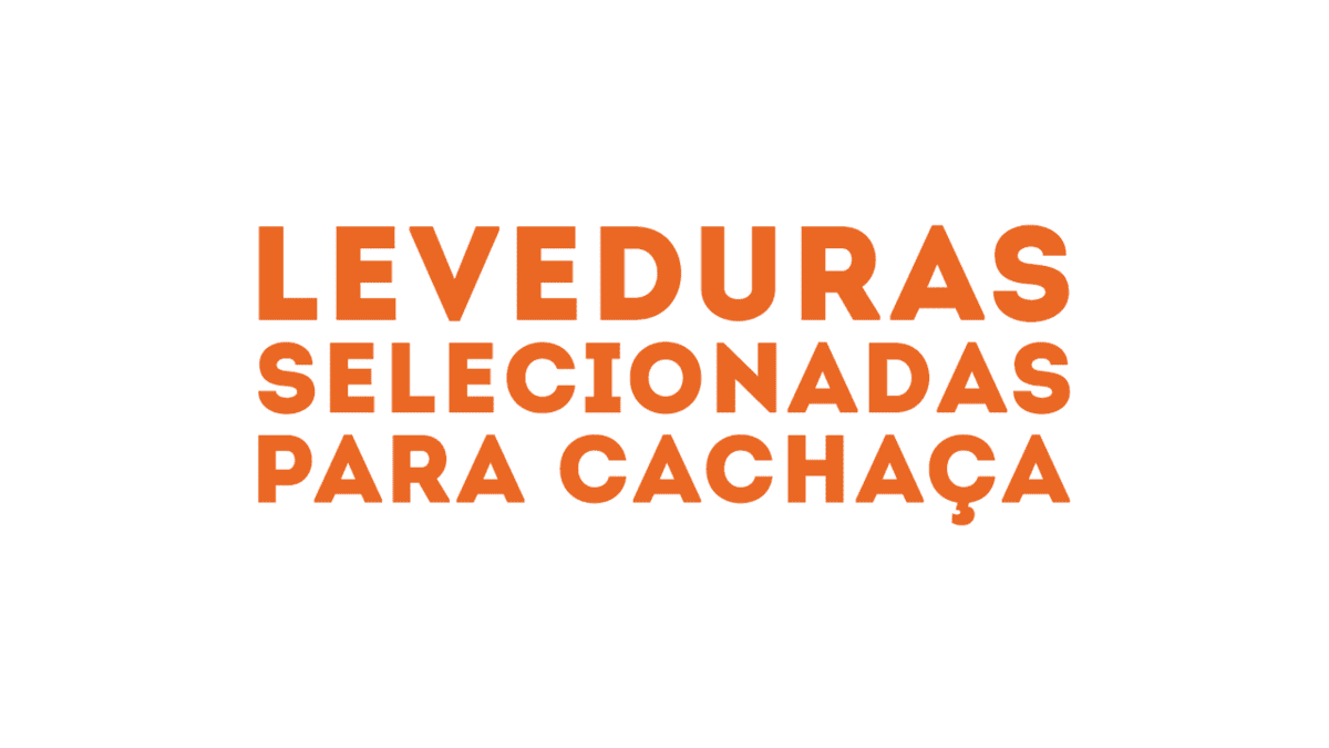 Carbonização X Tosta - Premier Pack, In House e DG Decor